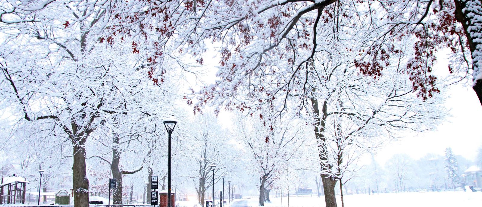 The Prettiest Winter Parks In Boston